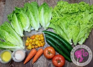 Vegetable Salad Bundle: P200/set makes 12-14 servings - Certified WAHM